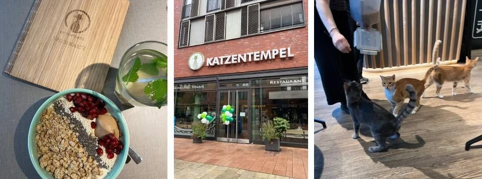 Cafe Katzentempel Hamburg - hamburg-magazin.de